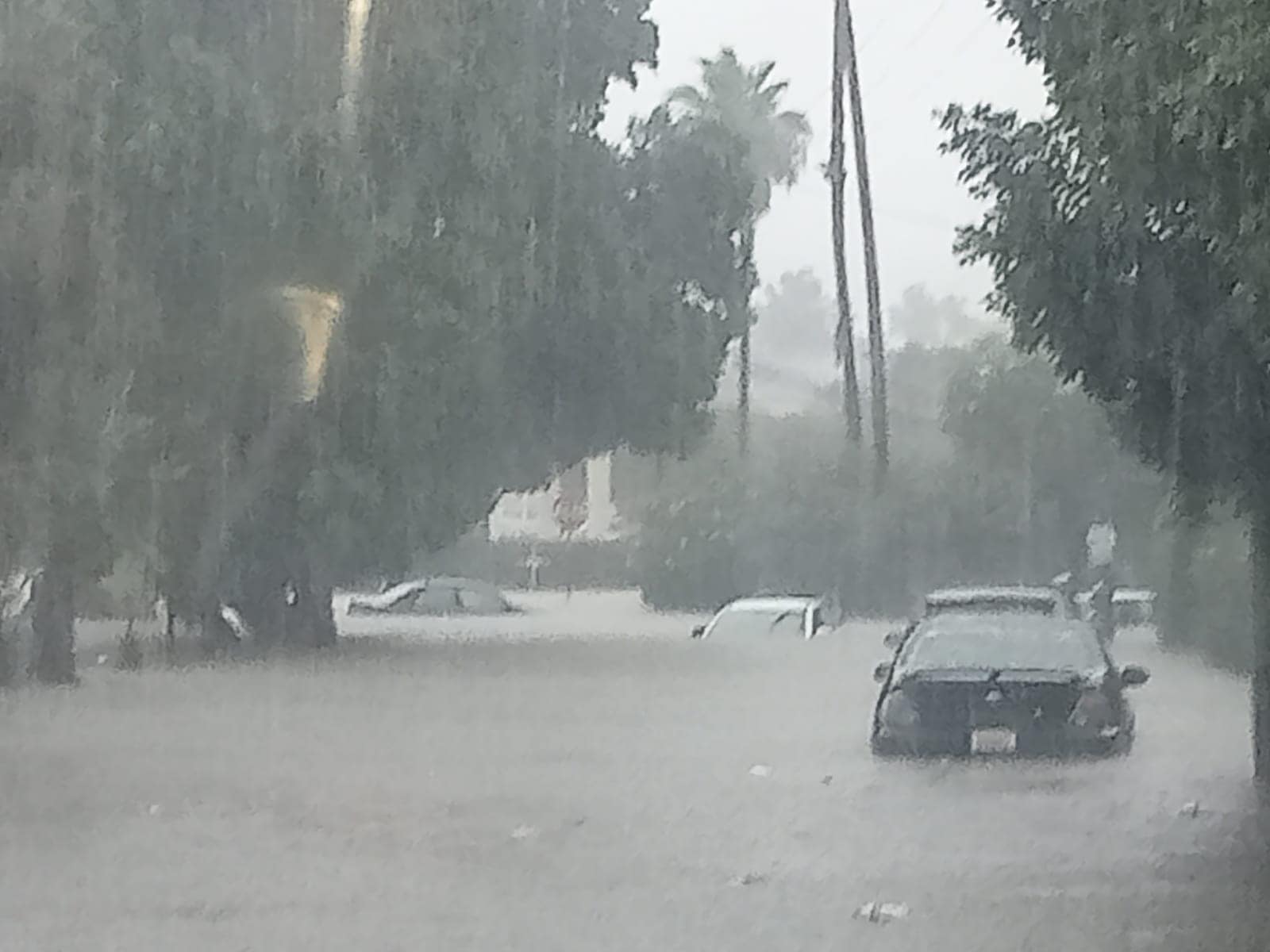14 damnificados y una familia a albergue en Tecate tras inundaciones ...